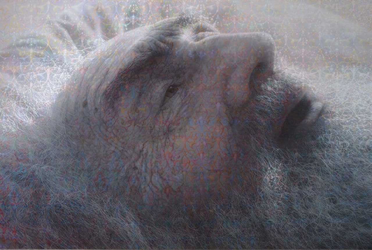 Crocker Art Museum - Art - Portrait of My Father by Stephen Kaltenbach | Crocker Art Museum